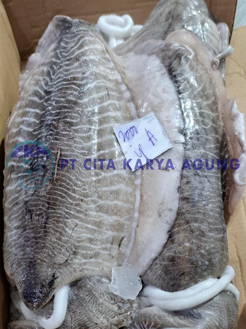 Frozen Seafood from Indonesia: Top Quality & Sustainably Sourced